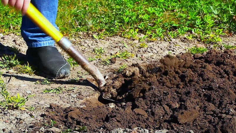Man backfilled ground stock footage. Video of backfilled - 40917786