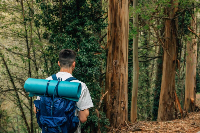 Man with Backpack Doing Trekking or Hiking Stock Photo - Image of ...