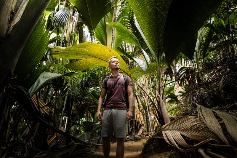 Man with Backpack Exploring Jungle Stock Photo - Image of people, front ...