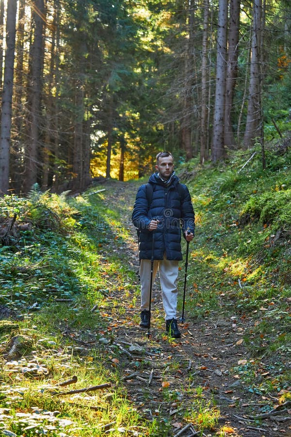 Man with Backpack on Path in Dark Autumn Forest with Bare Trees Stock ...
