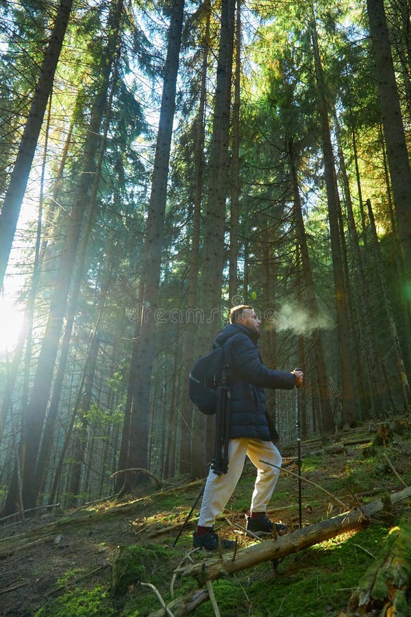 Man with Backpack on Path in Dark Autumn Forest with Bare Trees Stock ...