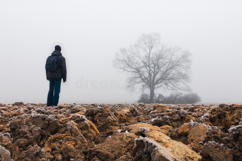 Man with Backpack Walking on Frost Field with Leafless Tree in Fog ...