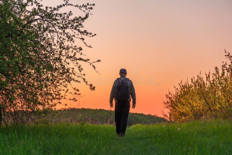 A Man with a Backpack Walks Along a Path between Bushes and Trees ...