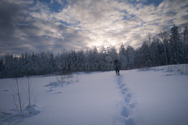 A Man with a Backpack Walks through Deep Snow. Back View Stock Photo ...