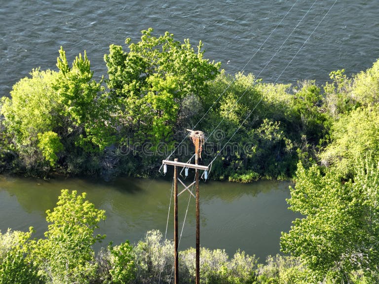 There is a Man on a High Wire with Trees in the Background Stock Image ...