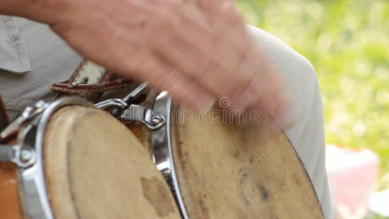 Bongo man stock photo. Image of person, playing, bongos - 2737390