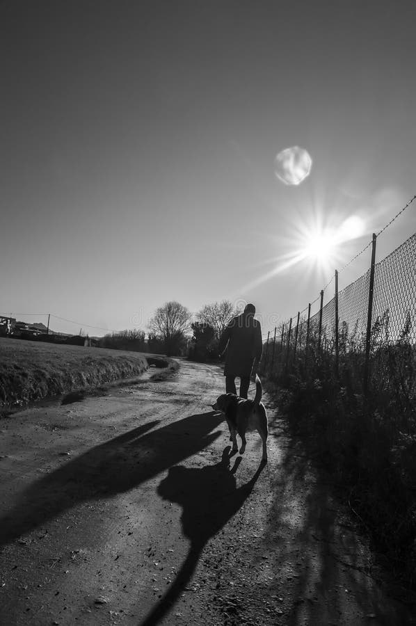 Dog Turning Back Stock Photos - Free & Royalty-Free Stock Photos from ...