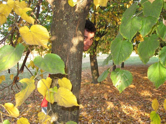 519 Man Standing Behind Tree Stock Photos - Free & Royalty-Free Stock ...