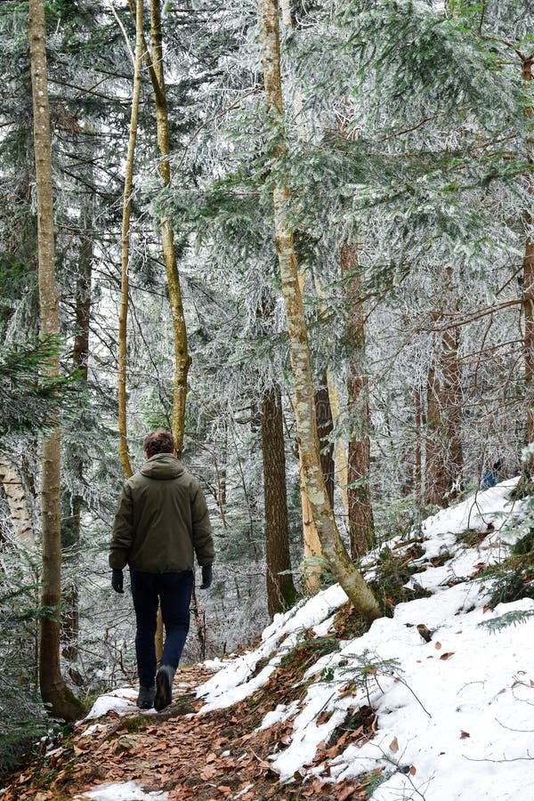 A Man from Behind Walking in Mountains Stock Photo - Image of mountain ...