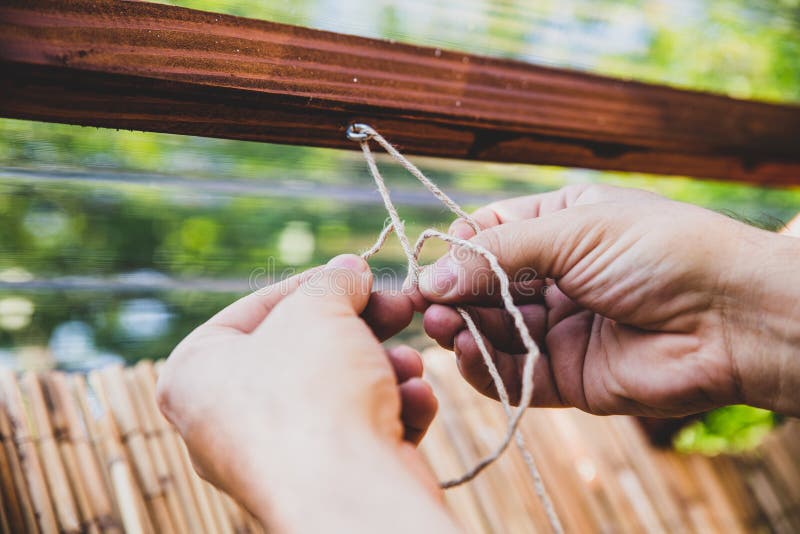 Man Binding a String, Climbing Support for Plants Stock Image - Image ...