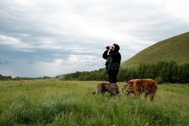 A Man with Binoculars Looking into the Distance. with Man Two Dogs in ...
