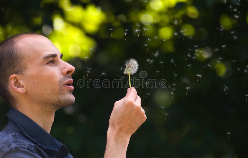 Man blowing dandelion stock photo. Image of finger, activity - 9694218