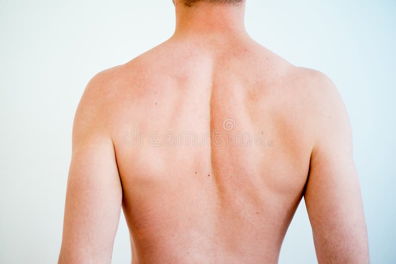 Man body parts stock image. Image of biceps, adult, back - 106839605