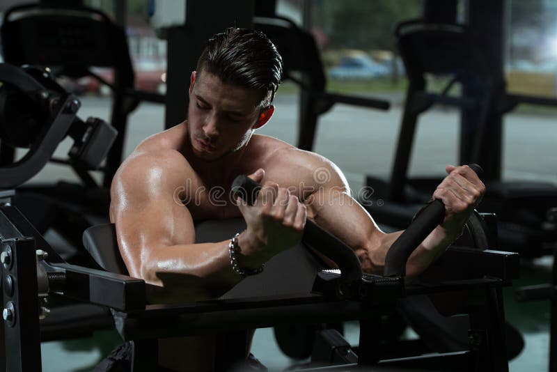 Man Bodybuilder Doing Exercise for Biceps Stock Image - Image of ...