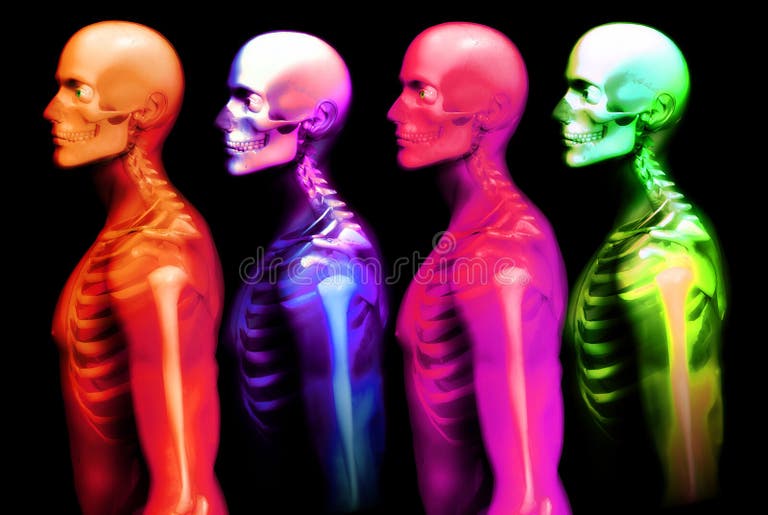 Man Bone 2 stock photo. Image of halloween, green, dead - 1621782