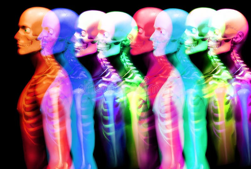 Man Bone 4 Picture. Image: 1621807