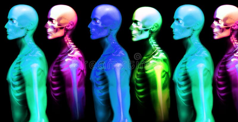 Man Bone 5 stock photo. Image of green, healthcare, bone - 1621790