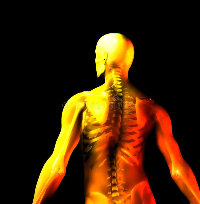 Bone 36 stock illustration. Illustration of chillier, horror - 652034