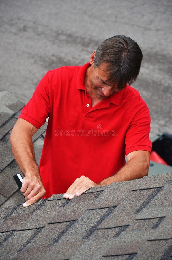 Man Prying Rotten Wood from Roof Beams and Decking Stock Image - Image ...