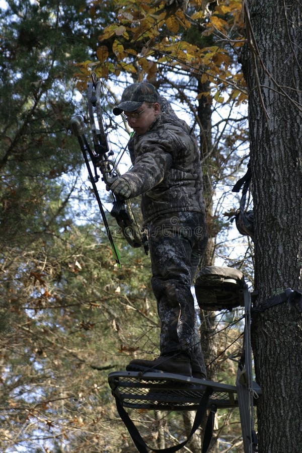 Bow hunter in tree stock image. Image of extreme, handsome - 8639823