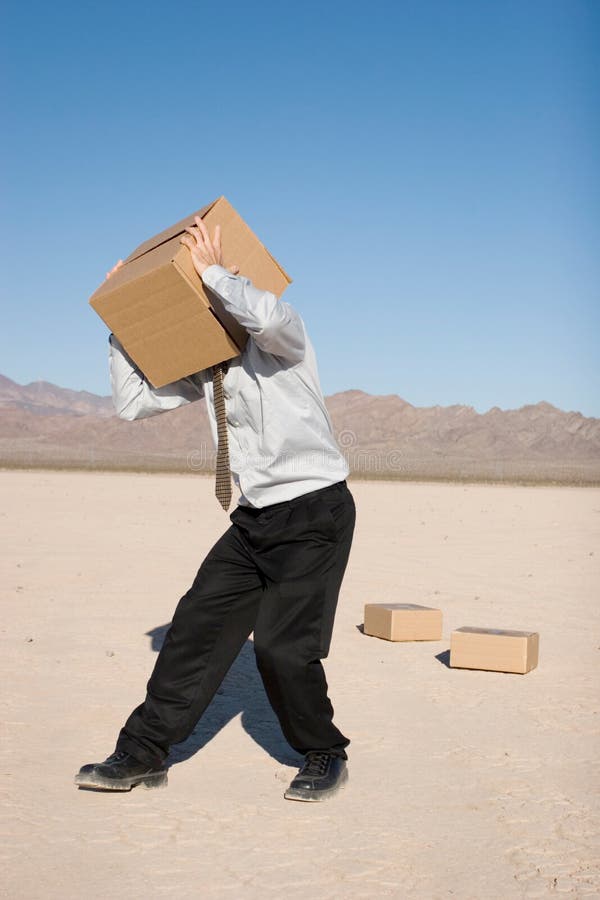 Man with a box stock image. Image of executive, shipping - 4214527