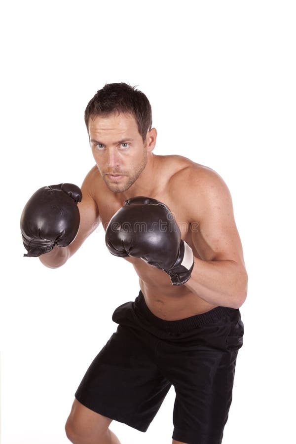 Boxer Boxing stock photo. Image of caucasian, isolated - 19531664
