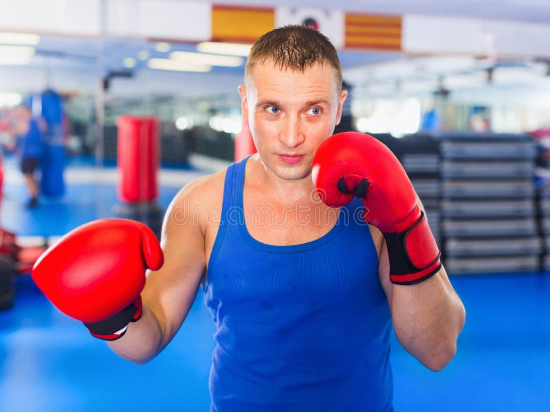 Man Boxer is Training in Gloves in Gym. Stock Photo - Image of boxer ...