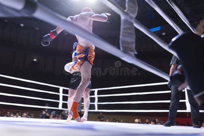 A Man in a Boxing Ring is about To Fall Stock Image - Image of arena ...