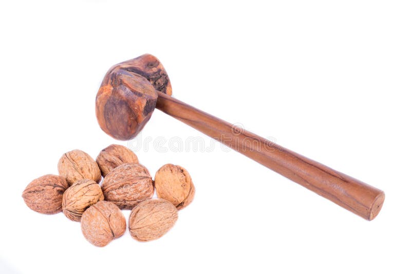 Man Breaking a Nut in a Nutshell Stock Photo - Image of brown, isolated ...