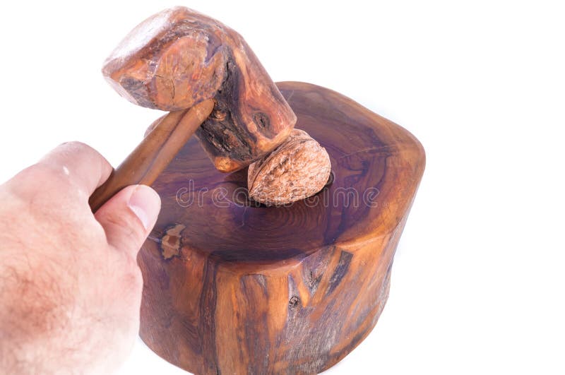 Man Breaking a Nut in a Nutshell Stock Photo - Image of brown, isolated ...