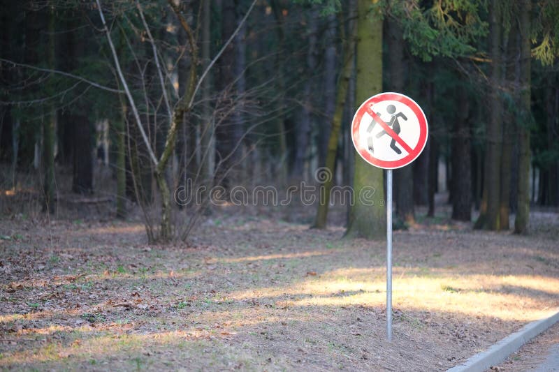A Man Breaks a Tree on a Road Sign. a Warning Information Sign in a Red ...
