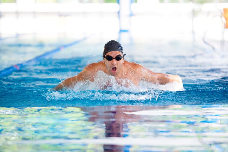 Swimmer Athletic Man Swimming Butterfly Stock Photo - Image of athletic ...