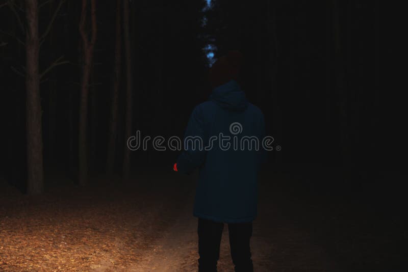 Man with Bright Flashlight in Forest Stock Photo - Image of hike, night ...
