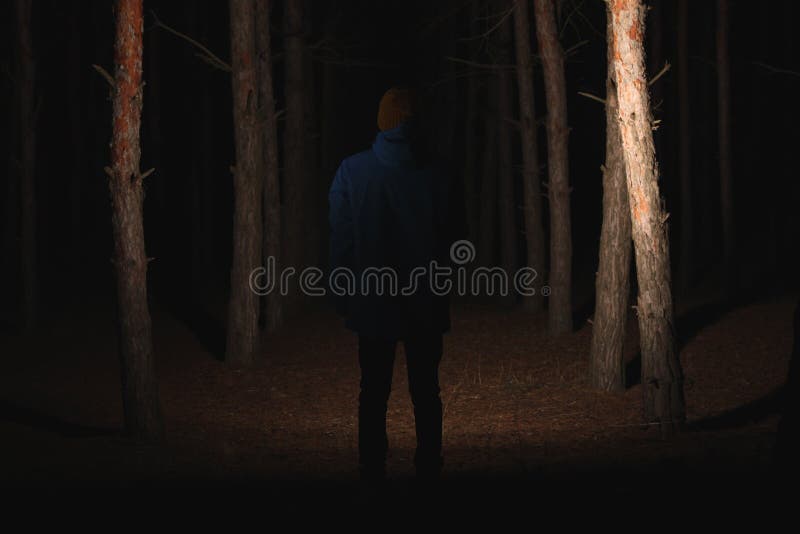 Man with Bright Flashlight in Forest Stock Photo - Image of equipment ...