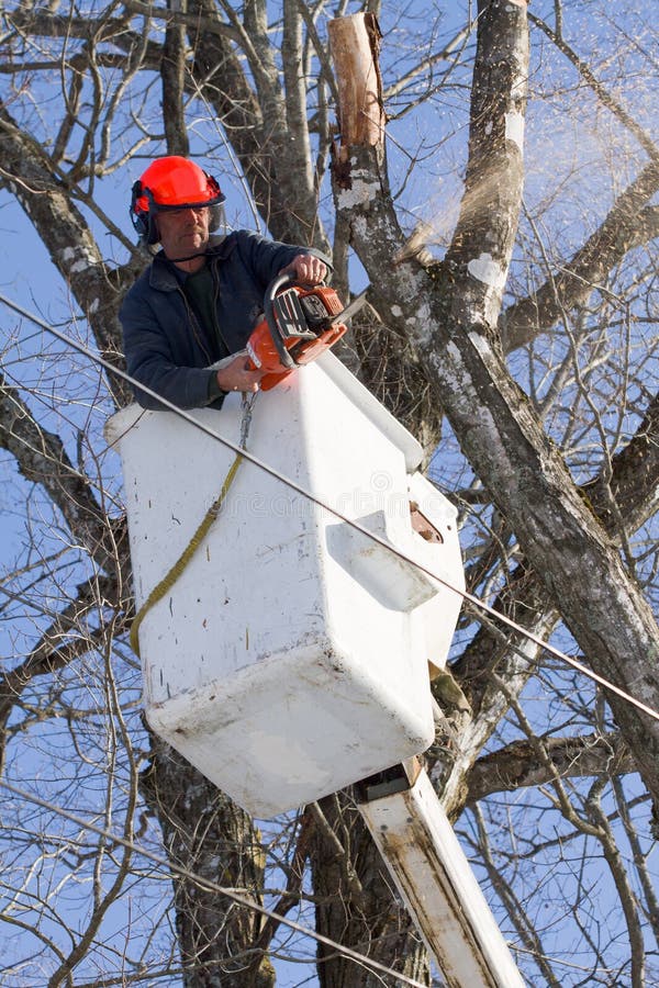 Man in Bucket with Chainsaw Stock Image - Image of laboring, trim: 22187089