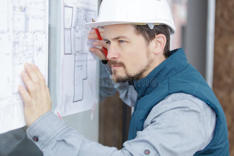 Man Builder Looking at Plans Stock Image - Image of builder, manager ...