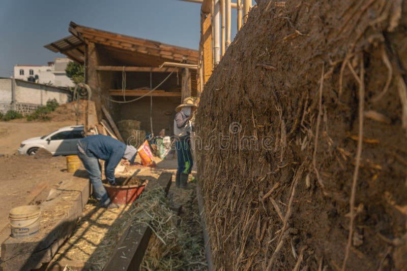 Man Building a Wall with Bioconstruction Techniques Stock Photo - Image ...