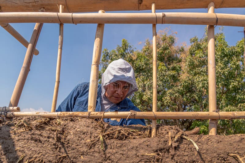 Man Building a Wall with Reed and Mud, Bioconstruction Stock Photo ...