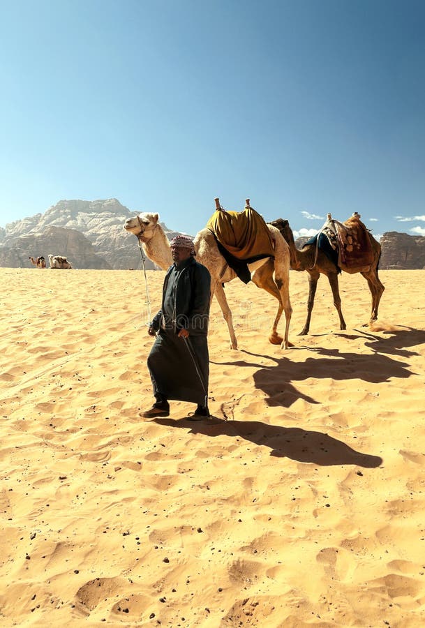 Man with a camel editorial photo. Image of highlight - 56086421