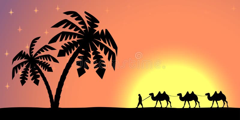 Man on the Camel in Palm Trees at Sunset. Stock Vector - Illustration ...