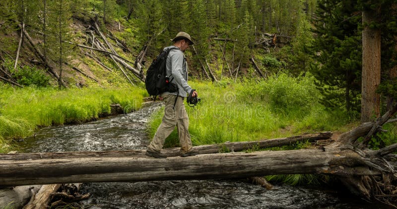 Man with Camera Crosses Tree Trunk Bridge Stock Photo - Image of nature ...