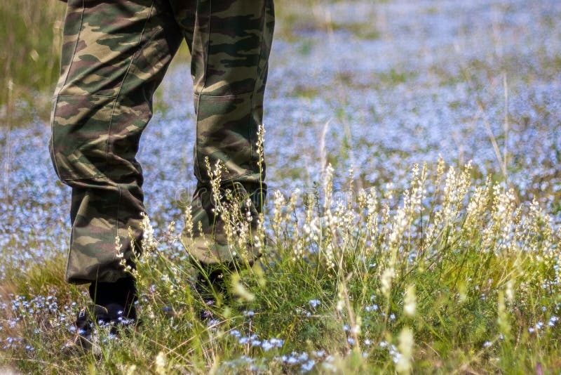 Man in Camouflage Uniform Standing on Flower Field. Stock Image - Image ...