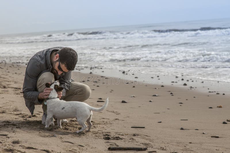 Man Caressing His Dog while Playing in the Beach Stock Image - Image of ...