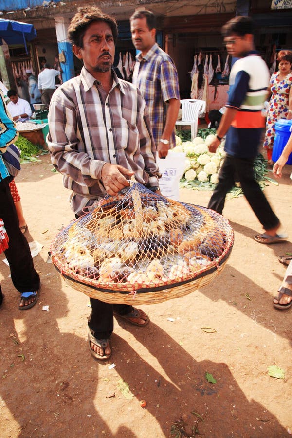 Man Carrying a Basket of Baby Chickens Editorial Image - Image of ...