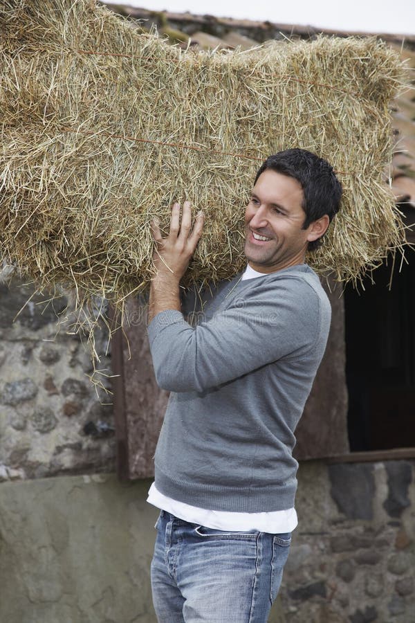Man Carrying Hay on Shoulders Stock Photo - Image of stable, shoulders ...