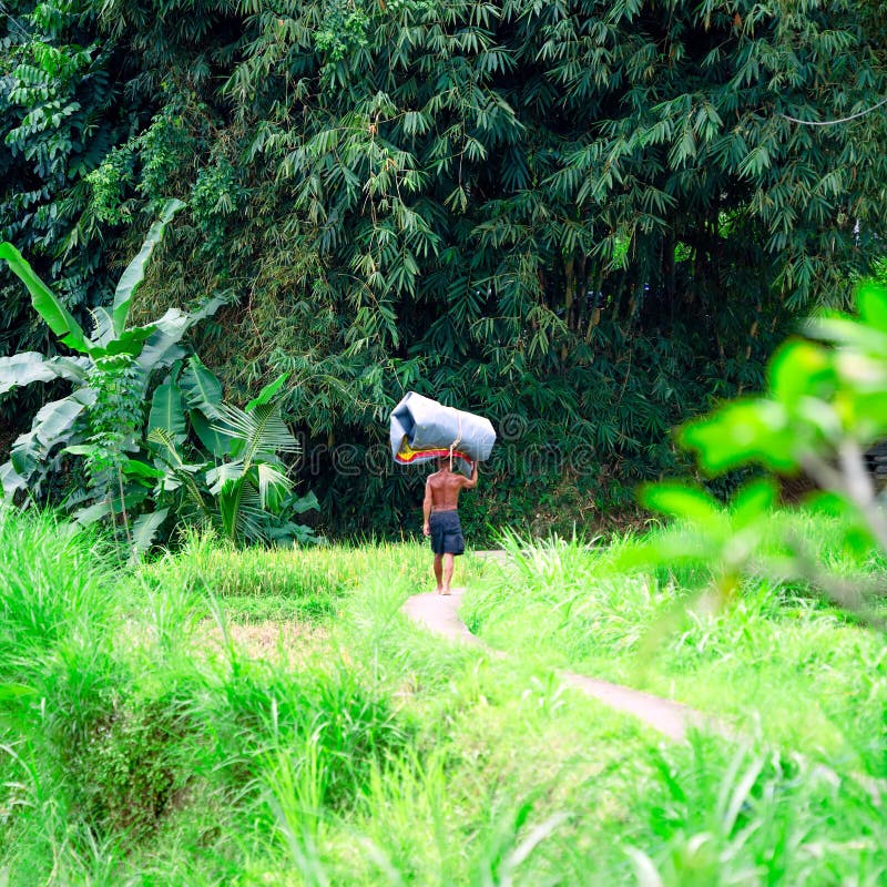 Man Carrying Heavy Weight on Head Editorial Stock Image - Image of ...