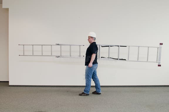 Man carrying a ladder stock photo. Image of male, maintenance - 23136854