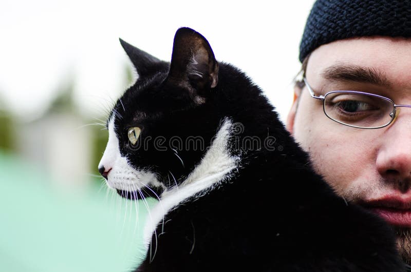 Man and cat stock photo. Image of mammals, feline, closeup - 39336636