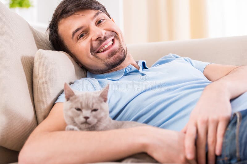 Man with cat stock photo. Image of kittens, attractive - 49688498