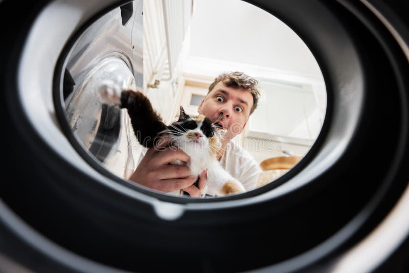 Man with Cat View from Washing Machine Inside. Male Does Laundry daily ...